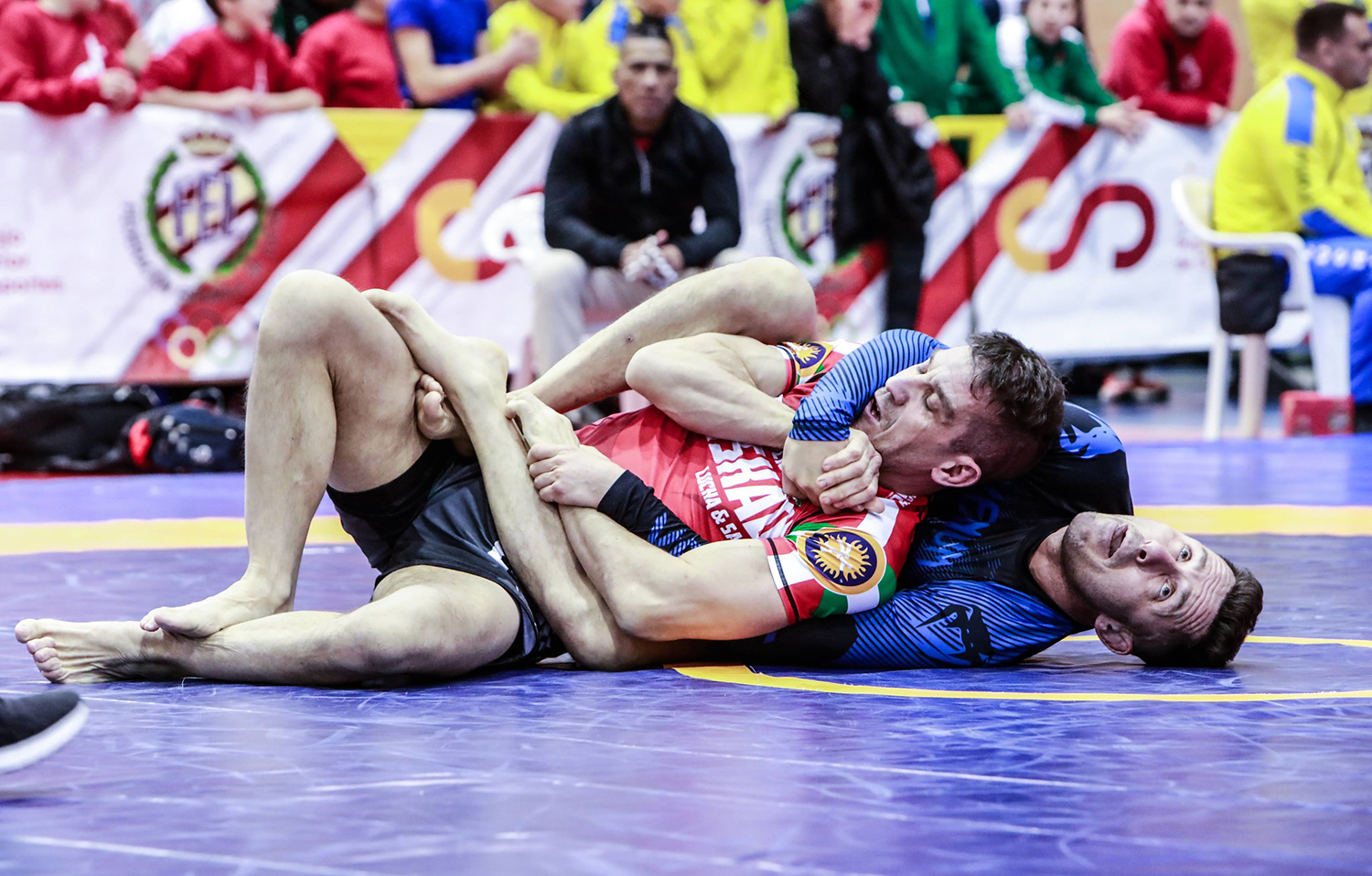 Todo lo que necesitas saber sobre el Nacional de Grappling - Lucha ESP